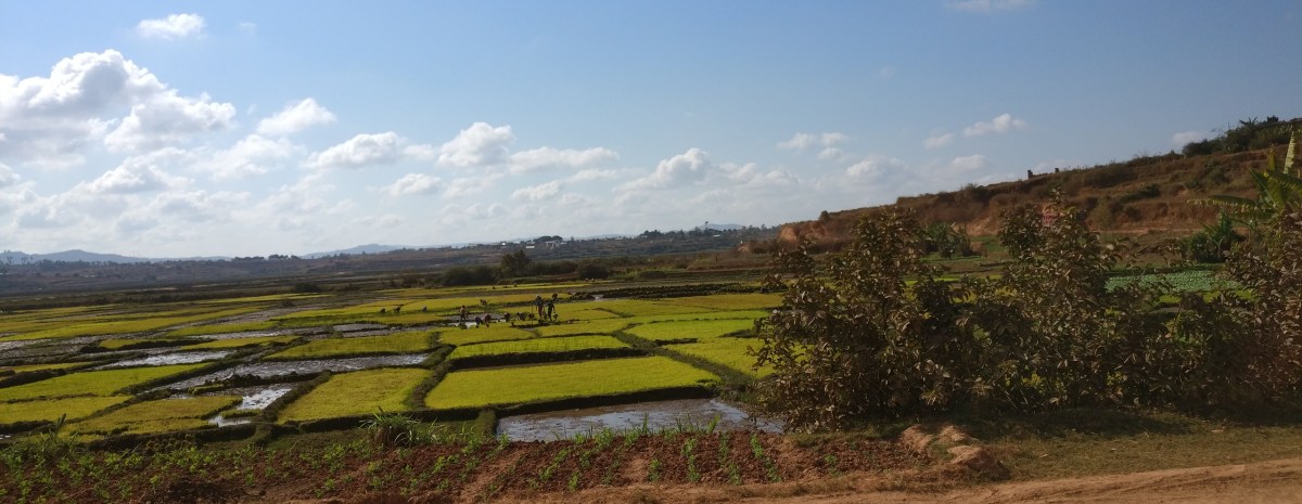 The Sacred Rice Archaeological Project – Research into the history and ...