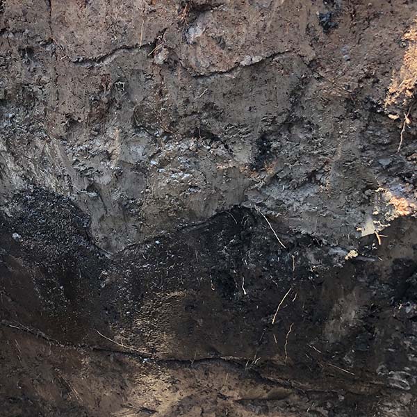 Artifacts – The Sacred Rice Archaeological Project